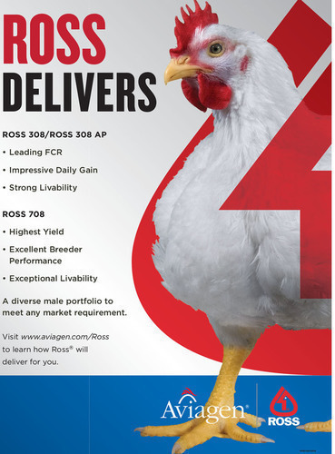 Poultry USA - March 2021 ROSS DELIVERS