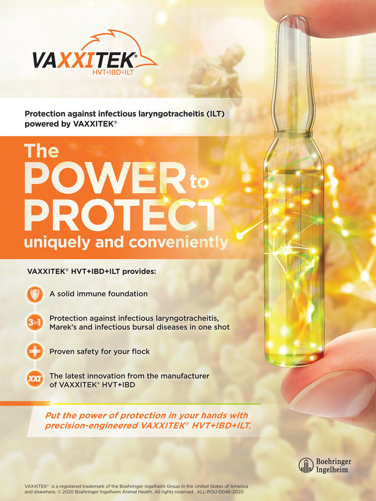 Poultry USA - March/April 2024 VAXXITEK® HVT-IBD+ILT