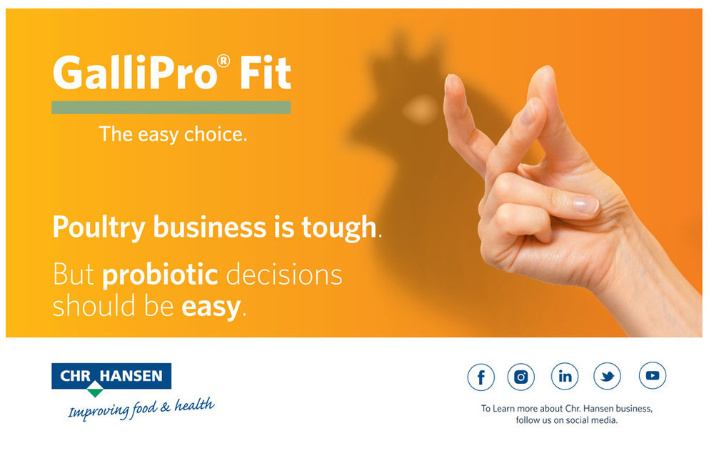 Poultry USA - March/April 2024 WATT PoultryUSA 2024 Top Turkey Company ...