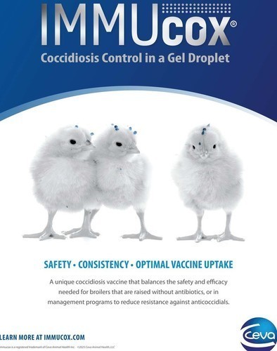 Poultry USA - March/April 2025 IMMUCOX®